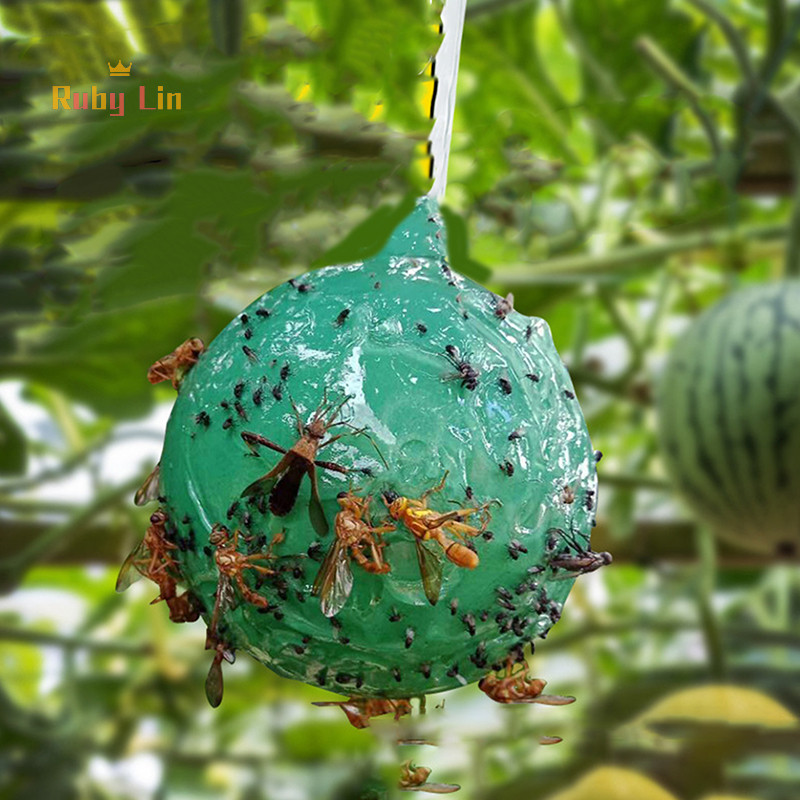 Ruby Lin Flower Tree Sticky Trap Hanging Fly Trap Pest Control Gnat ...