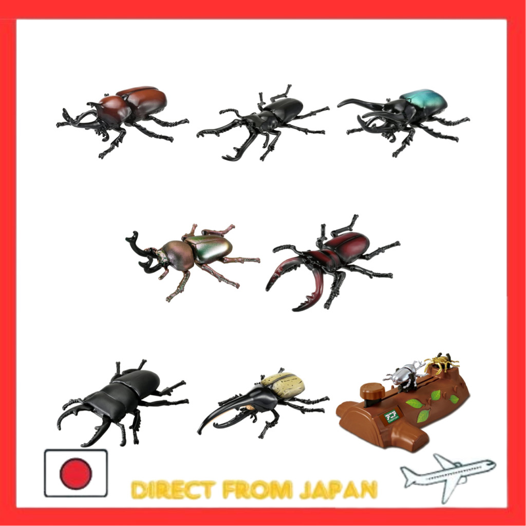 TAKARA TOMY Ania AS-41 Hirata Stag Beetle Insect Toy Ages 3+ ,beetle ...