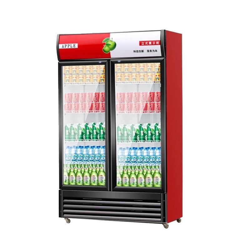 Beer Beverage Showcase Single Door Double Door Beer Cabinet Hotel ...