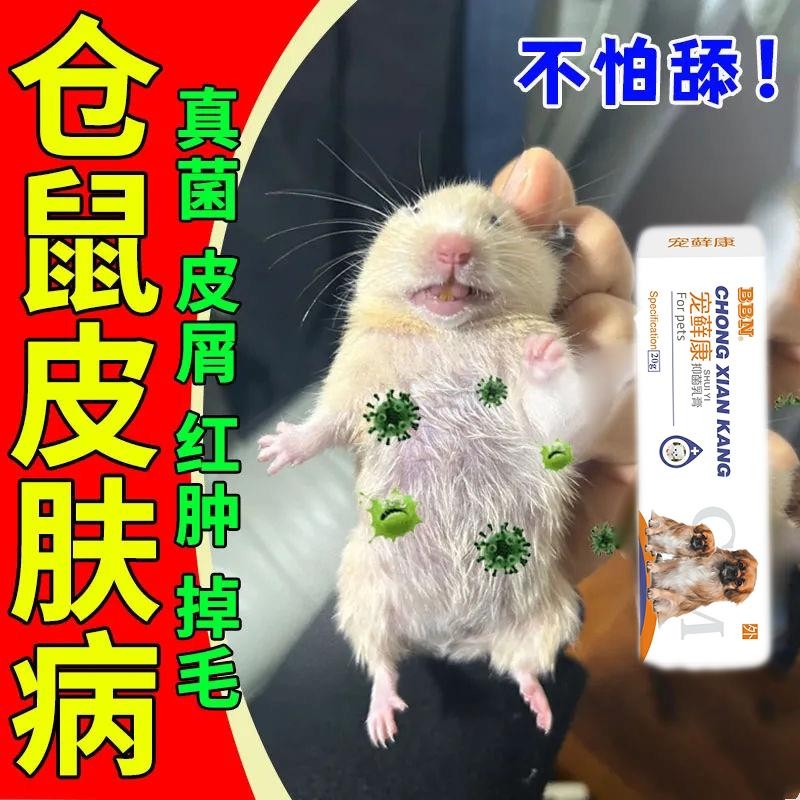 Hamster Skin Disease Dedicated Pet Fungus Infection Hair Loss Itching ...