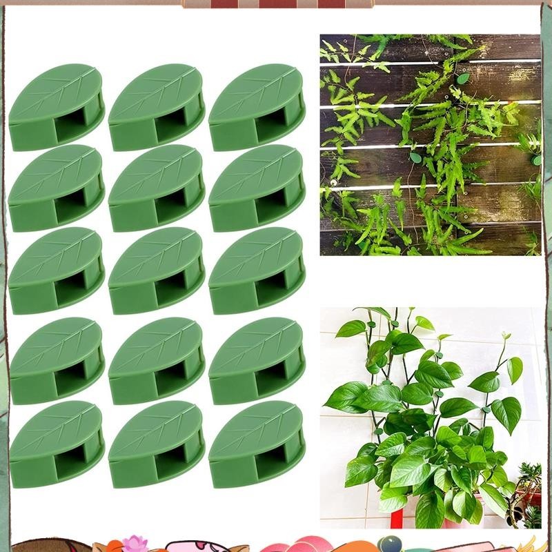 Plant Clips, Climbing Plants Wall Fixture Leaf Shaped Clips, Vines ...