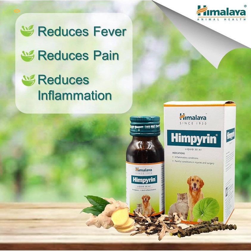 Himalaya Immunol Tablet & Syrup Liv 52 Forte Liv 52 Syrup Nefrotec DS ...