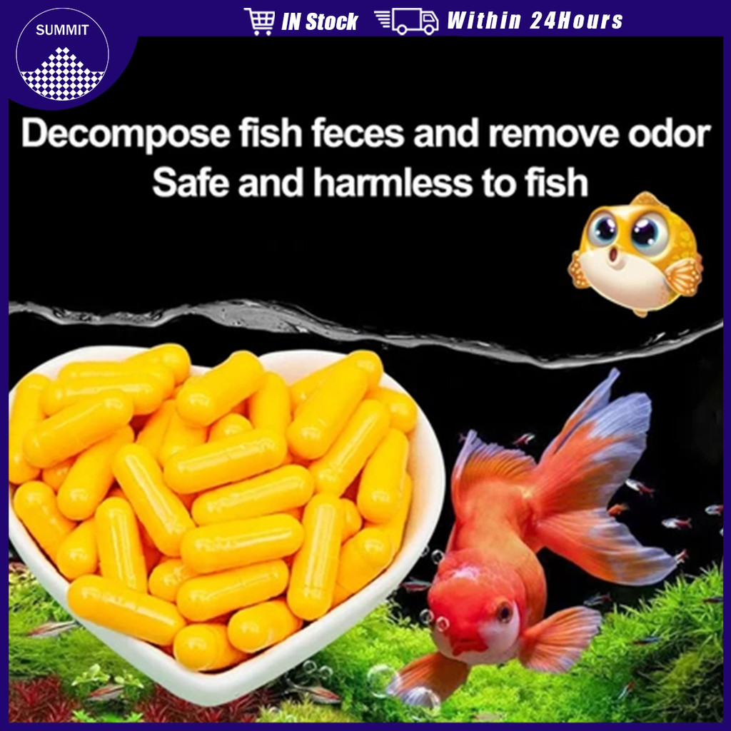 Aquarium Nitrifying Bacteria for Crystal Clear Water Purifier ...