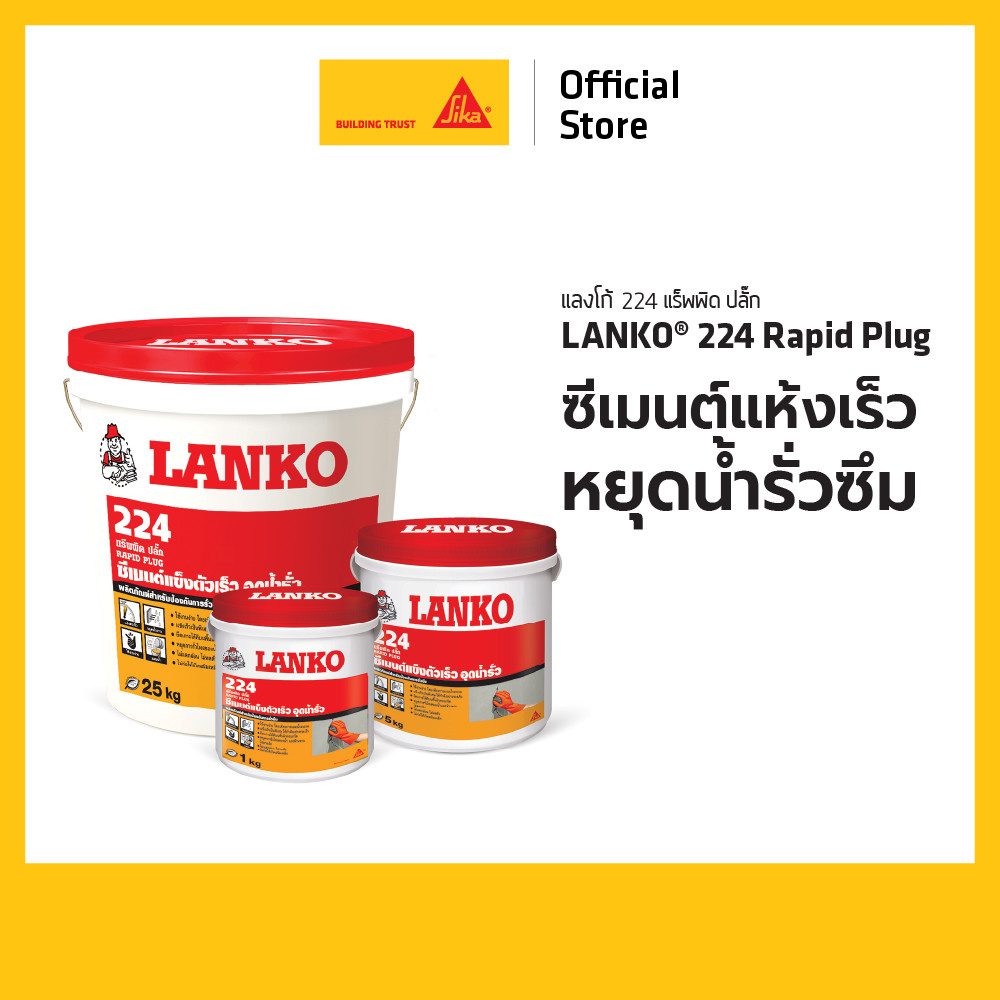 Lanko 224 Rapid Plug Cement Quick Dry Stop Water Leakage 1 kg. 5 ...