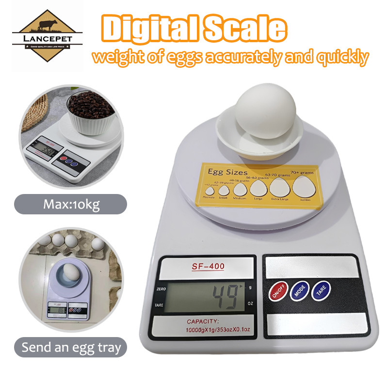 Digital egg weighing scale kitchen scale Chicken egg weighing for ...