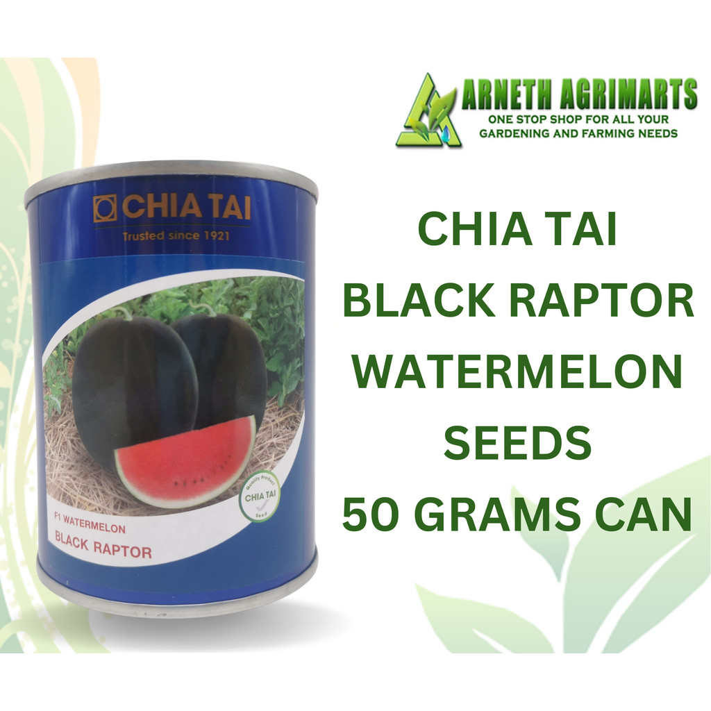 BLACK RAPTOR WATERMELON SEEDS BY CHIA TAI ( 50 GRAMS CAN ) | Shopee ...