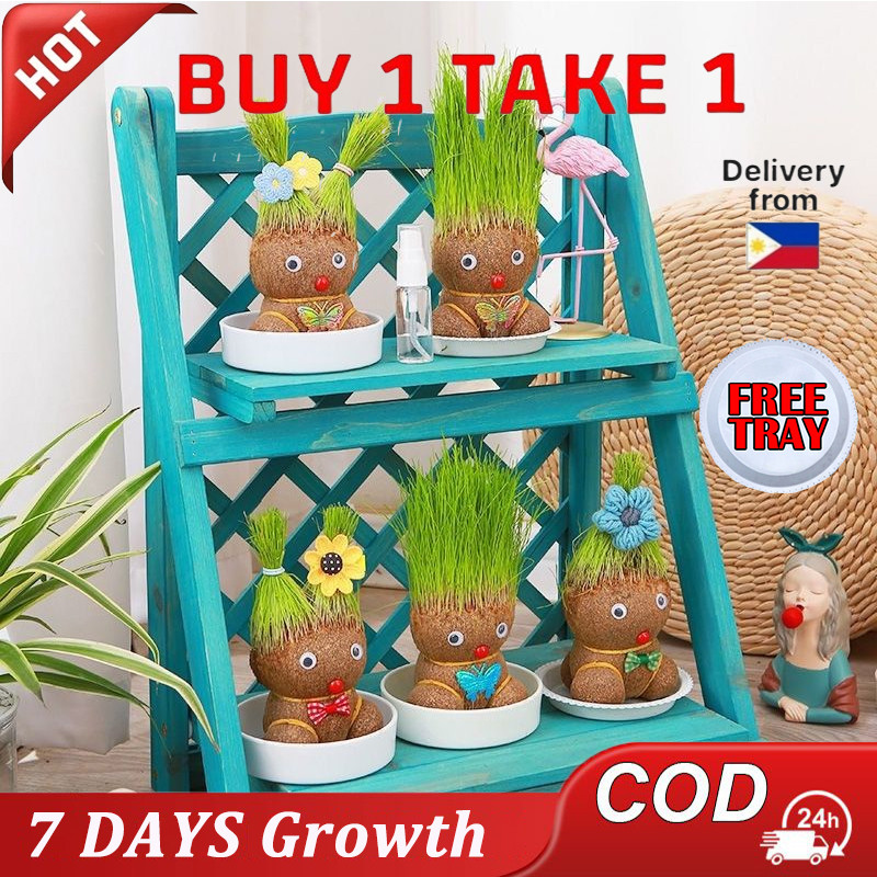 Buy 1 Take 1 Grass Head Room Decor Children Growing Grass Doll Toys ...