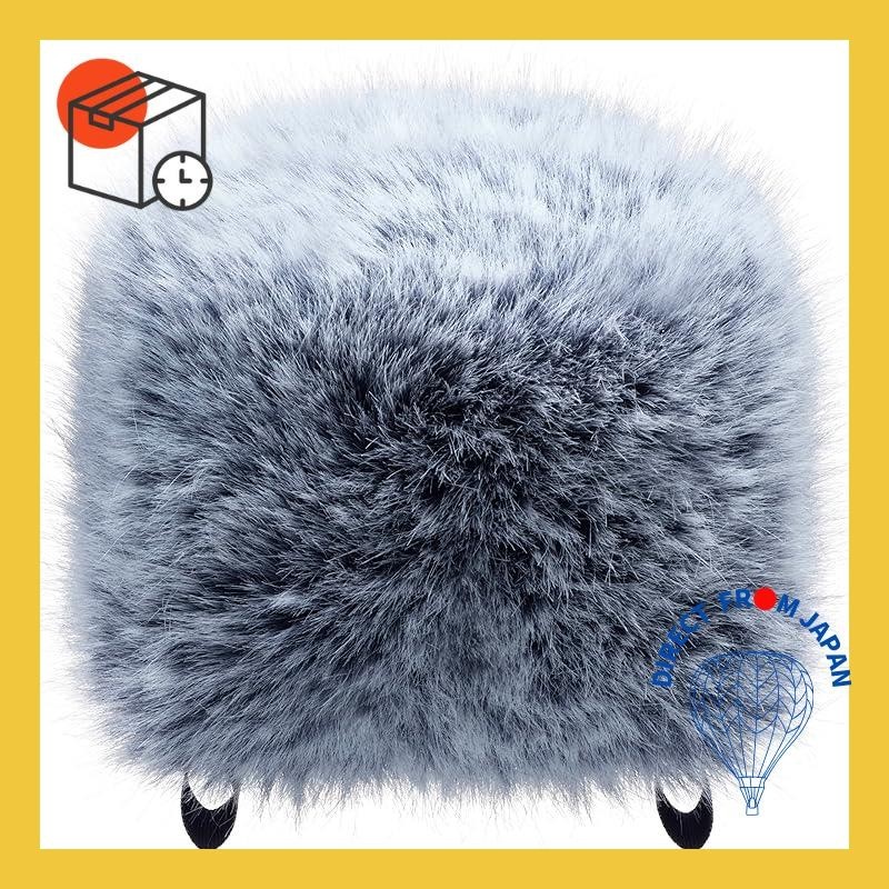 TASCAM WS-86 Windscreen for Portacapture/DR Series - Microphone ...