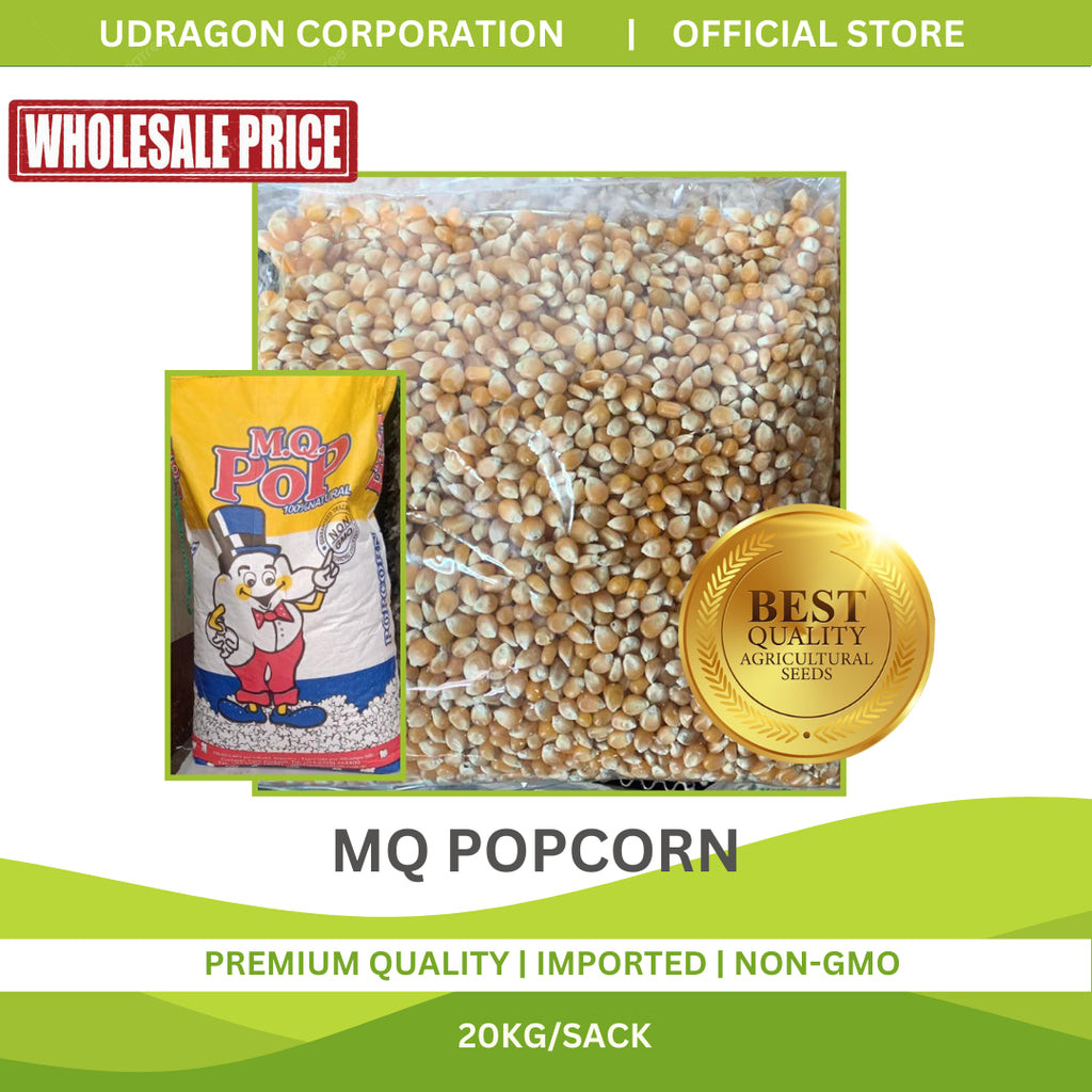 Imported MQ Popcorn - 20kg/bag | Shopee Philippines
