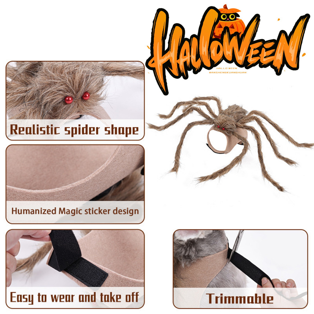 Realistic Spider Pet Costume Pet Spider Outfit Adorable Halloween Dog ...