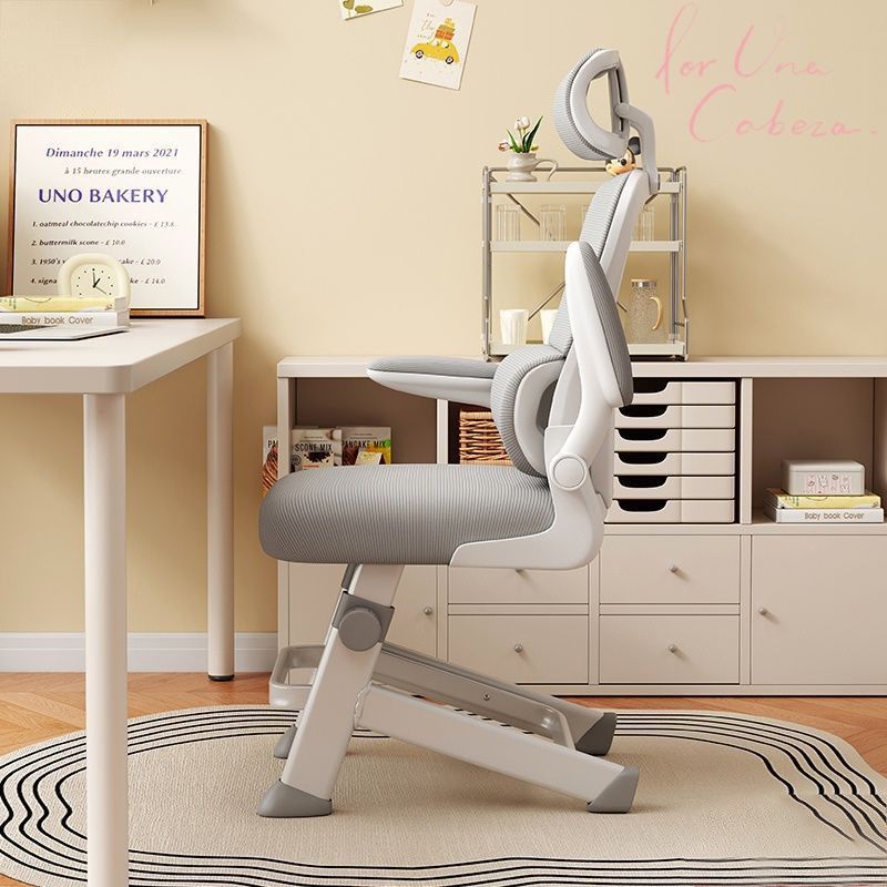 Limited Supply Middle School Students Teenagers Special Chair Ergonomic ...