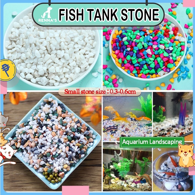 Renna's Aquarium Colorful Rocks Pebble Stone For Fish Tank Decor For ...