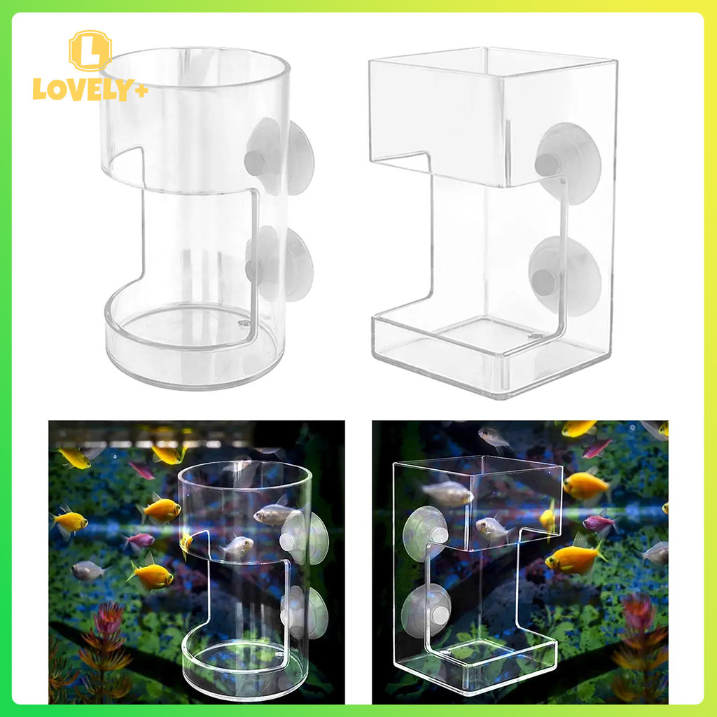 Floating Aquarium Feeding Ring Polystyrene Fish Tank Feeder Feeding ...