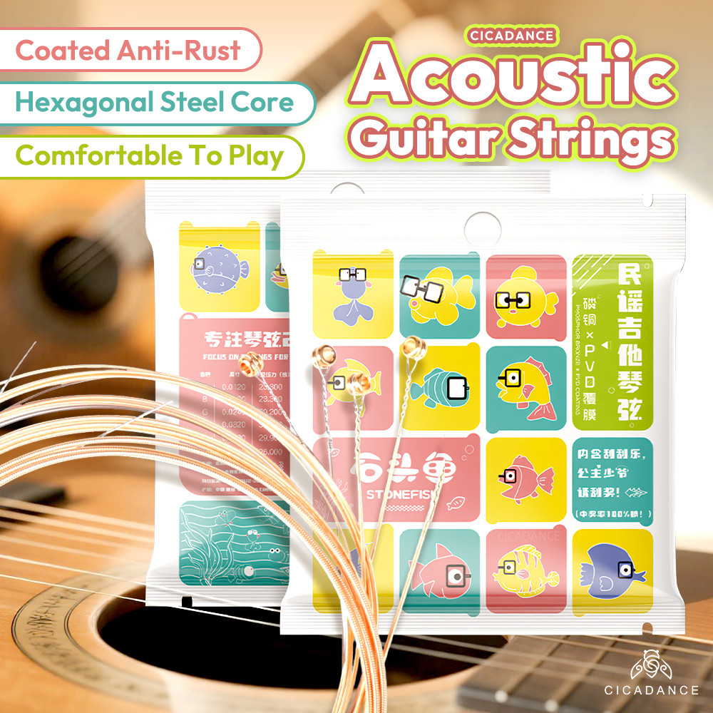 STONEFISH Acoustic Guitar String Set for Beginner Practice Anti-Rust ...