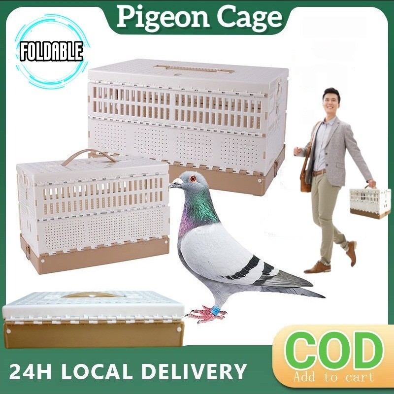Foldable Pigeon Transportation Cage Large Pigeon Training Flying Box ...