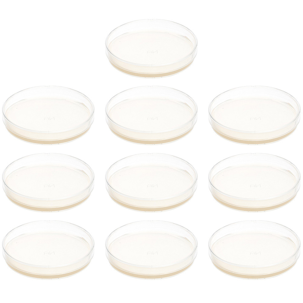 10 Pcs Nutrient Agar Plate Glass Dish Lid Sterile Petri Dishes Finished ...