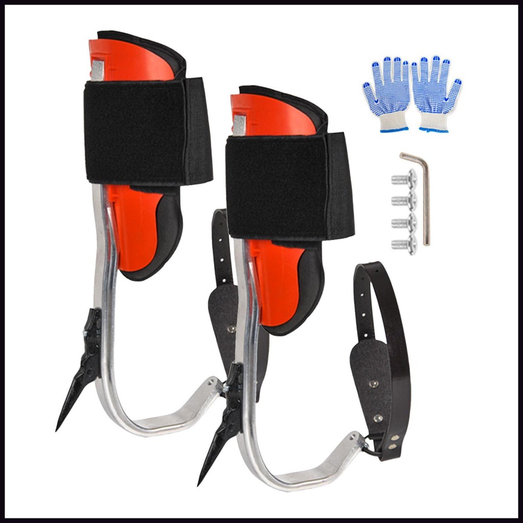 Tree Climbing Gear Pole Climbing Gear Tree Gaffs Heavy Duty Tree ...