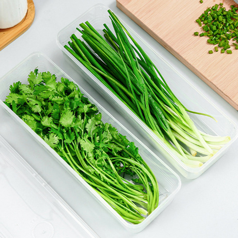 TFPH Scallions Fresh Box - Cold Storage Crisper for Fridge Organization ...