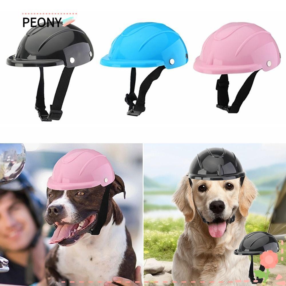 PEONYPH Pet Dog Helmets, Adjustable Plastic Pet Motorcycle Headgear ...