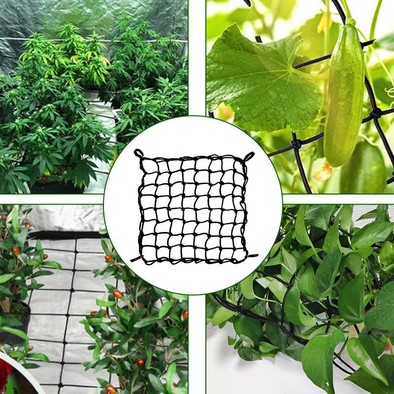 Trellis Netting Plant Support Elastic Latex Net With Hooks For Indoor ...