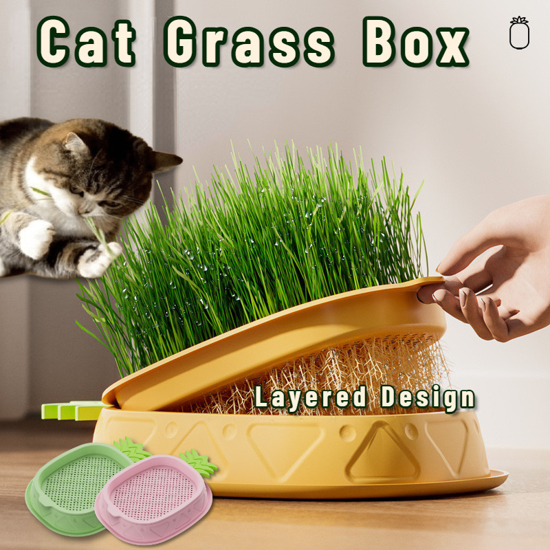 Cat Grass Box PP Material Seedling Tray Catnip Hydroponic With Cat ...