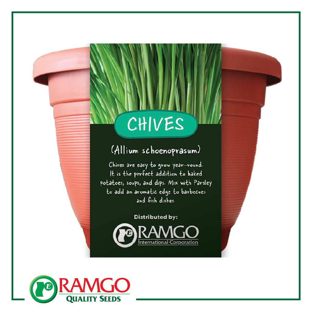 RGK Ramgo Chives Grow Kit | Shopee Philippines