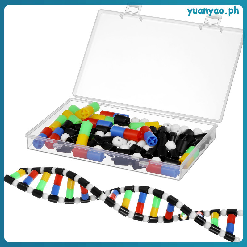 Biological Teaching Aids Model Science Kids Educational Toys Helix Dna ...