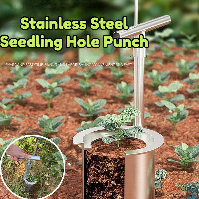 Stainless Steel Seedling Transplanter and Vegetable Planting Tool ...