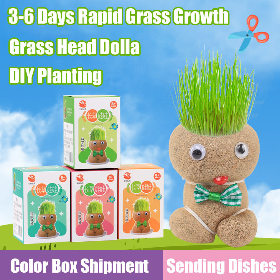 Growing Grass Head Doll Office Table Plant Decor Children Room Decor ...