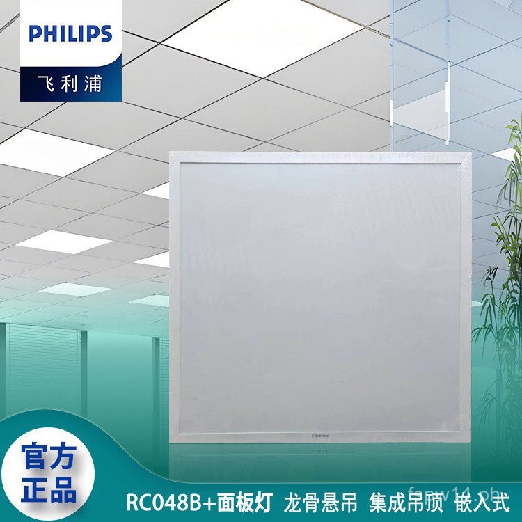 Philips RC048B+ LED Flat Panel Light Direct Emission Light Panel ...