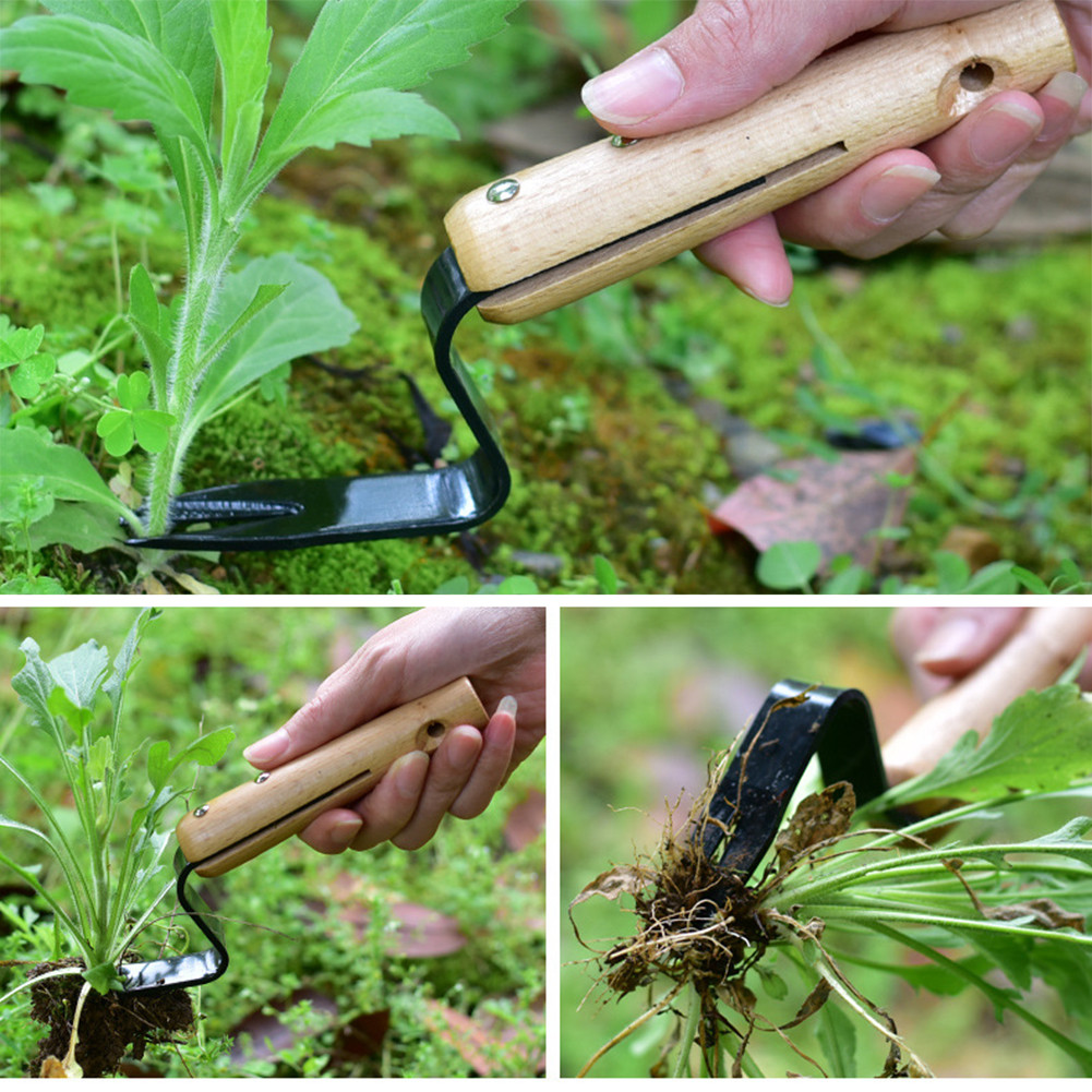 Forked Head Manual Weeder Manual Weeds Root Lifter For Gardening Plants Flowers | Shopee Philippines