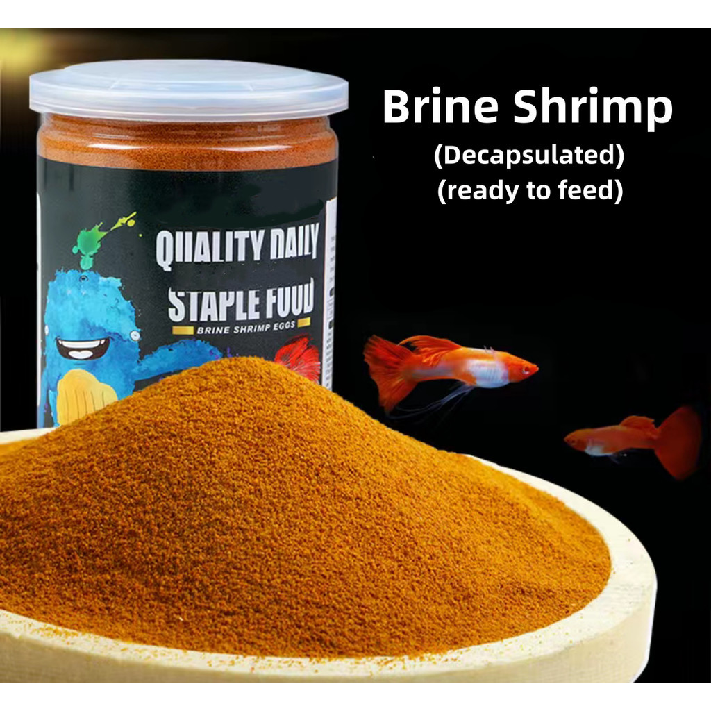 BABY BRINE SHRIMP (Decapsulated) fish food for small fish BBS | Shopee ...