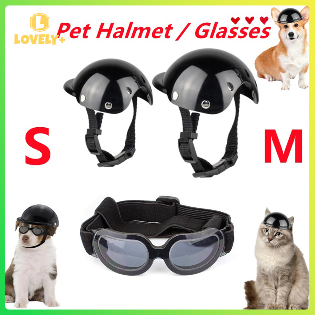 Dog Helmet for Shih Tzu Pet Motorcycle Helmet With Sunglasses Pet Toy ...