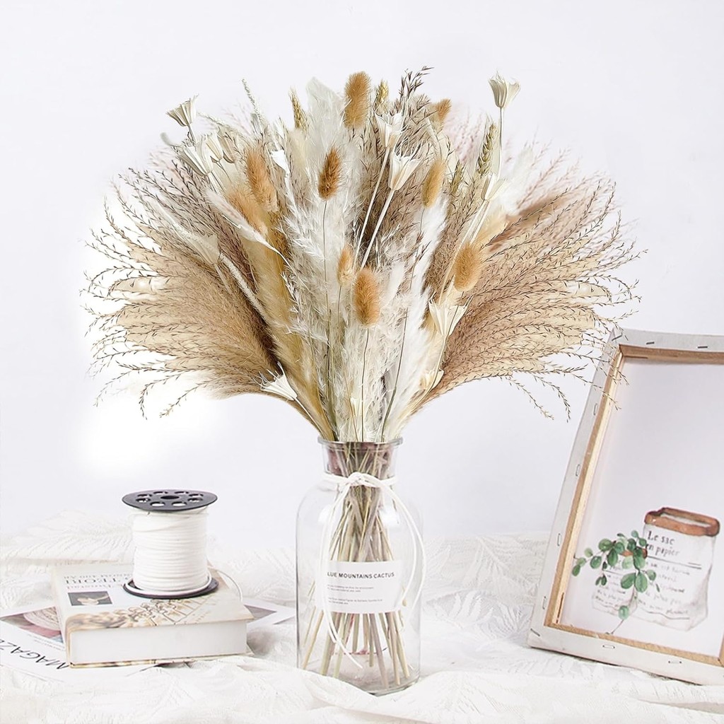 Dried Pampas Grass (1 stem) Boho Table Decor, Bunny Tails Dried Flowers ...