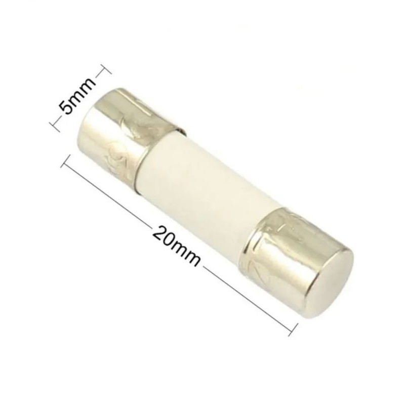 2pcs 5x20mm Fast Blow Ceramic Fuse 1A 3A 6A 8A F1AL250V F3AL250V ...
