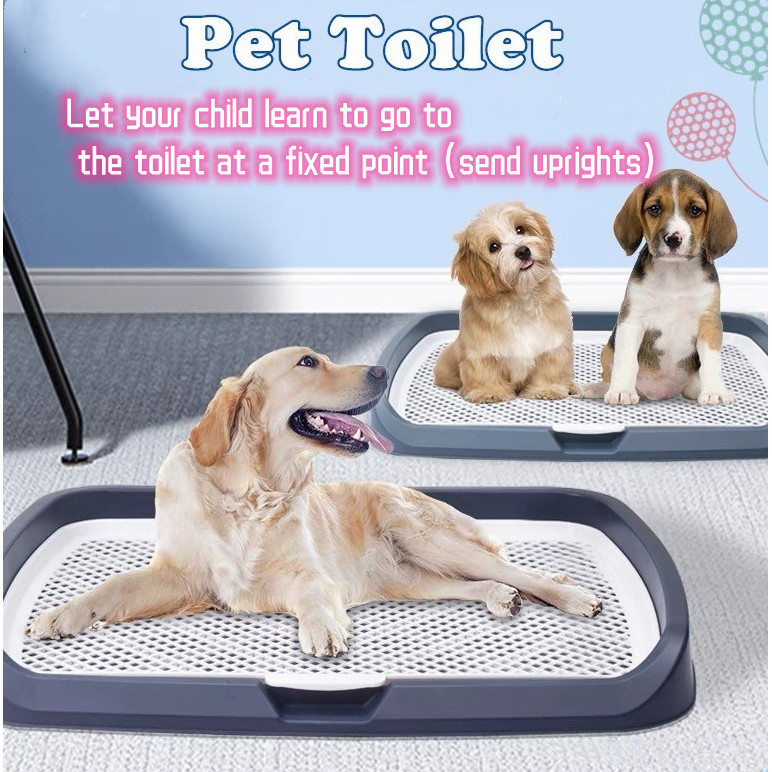 Dog Toilet Potty trainer Dog Training Toilet dog Poop tray for dog Dog ...