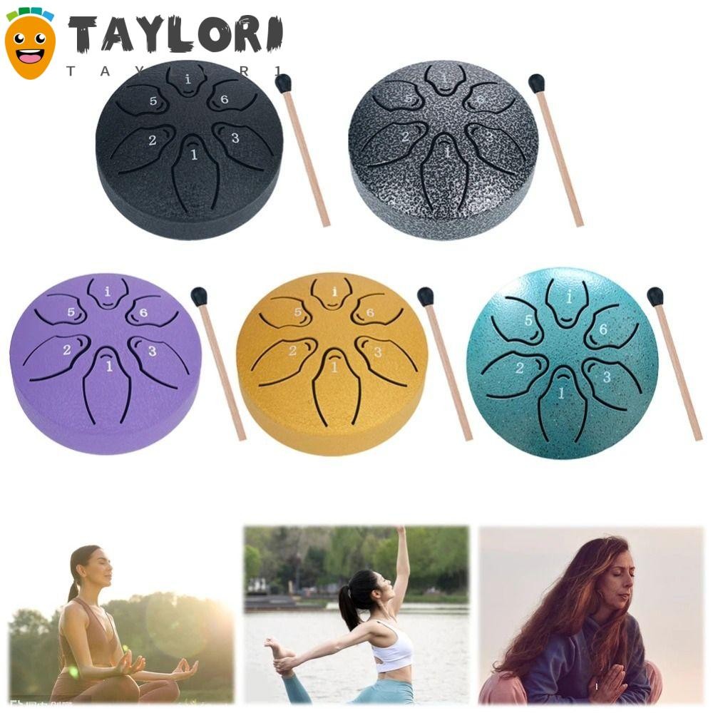 TAYLOR1 Steel Tongue Drum Set, 6-Tone 3 Inch Mini Hand Pan Drums ...