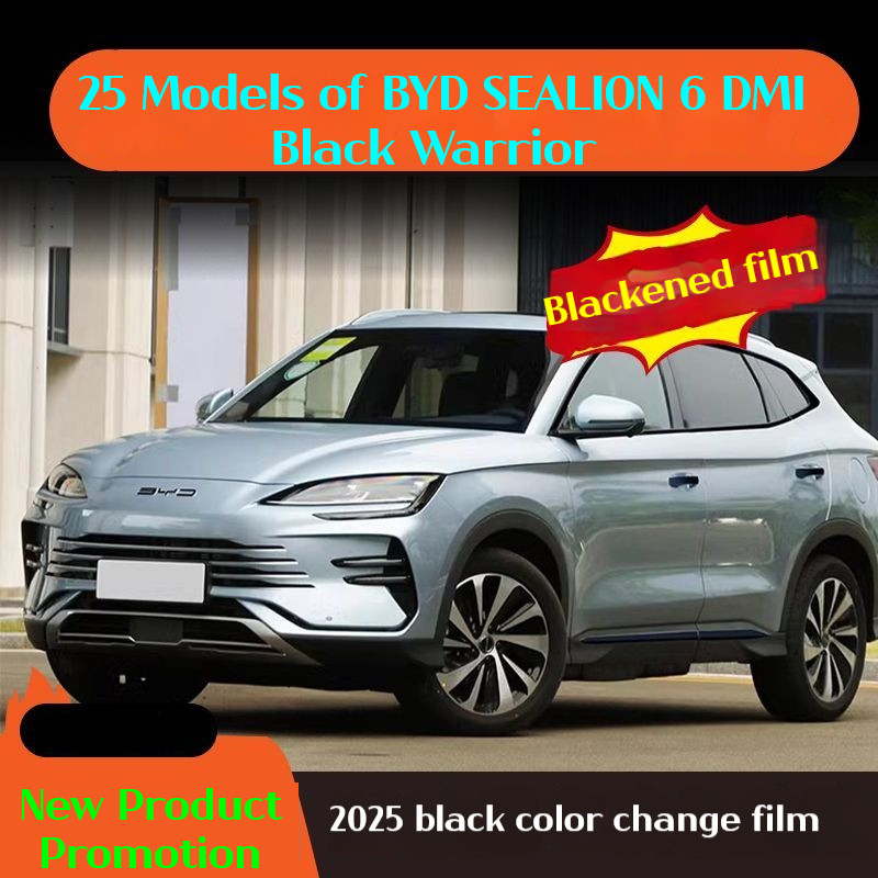 Byd23-25Style BYD SEALION 6 dmi Black Warrior Color Change Front ...