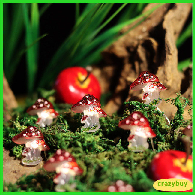 CR Mushroom Lights, Easter Lights String With 3000K Color Temperature ...