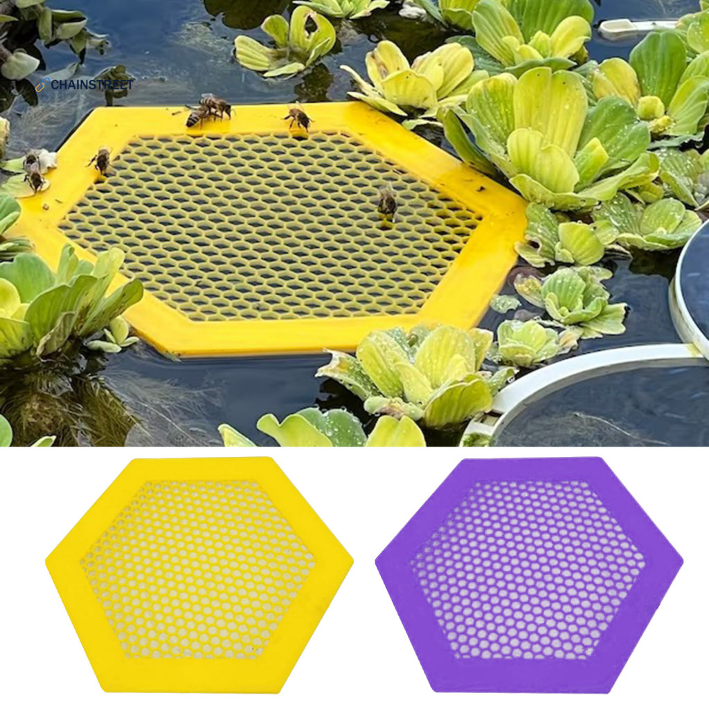 [CHE] Colorful Bee Feeder Bee Drinking Tray Bee Water Feeder Tray Keep ...