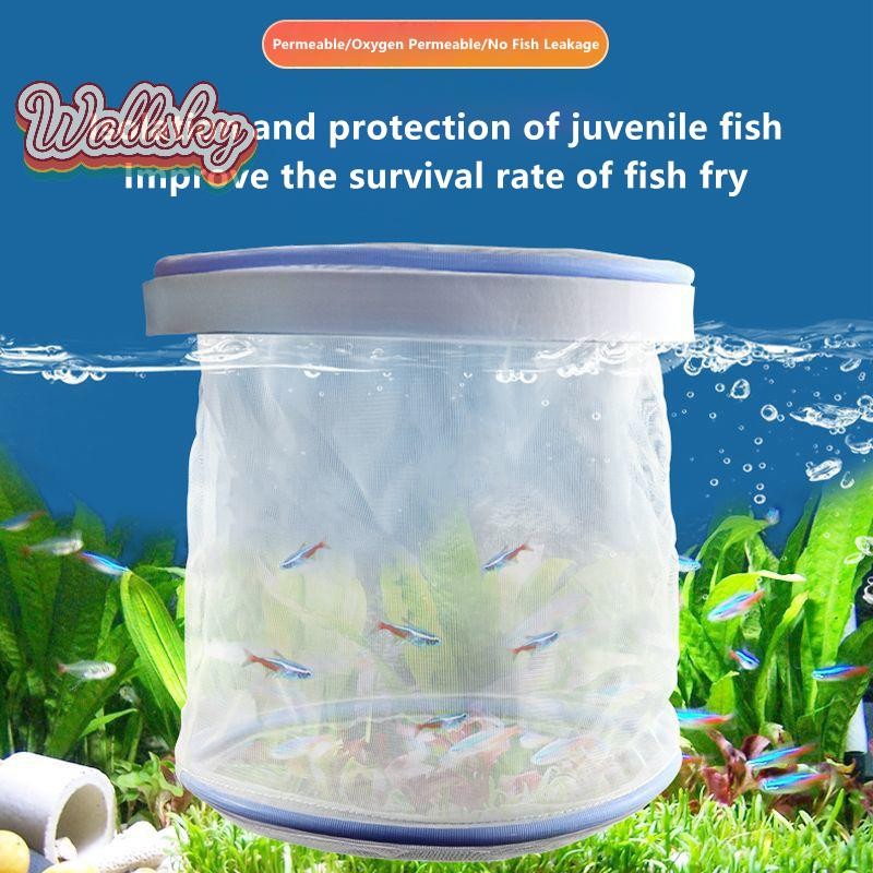 Wallsky> Breeding Equipment Ventilated Guppy Breeding Net Nylon Fish ...