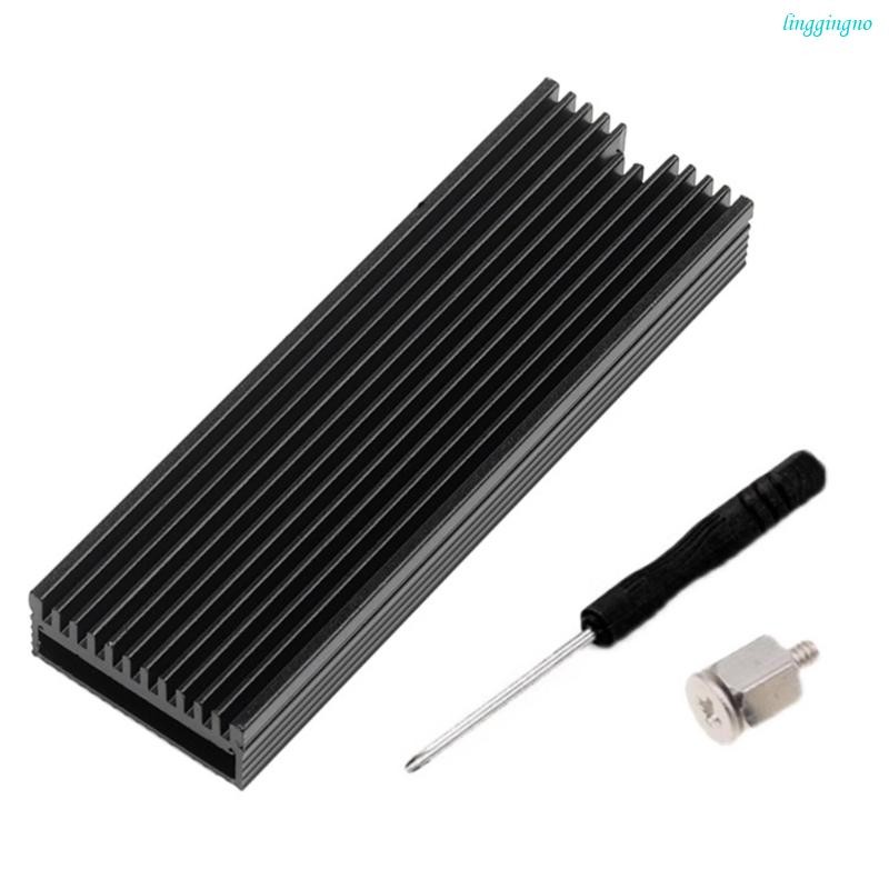 RR M2 Heatsink Cooler NVMe M2 2280 SSD Heat Sinks Thermal Pad Heatsink ...