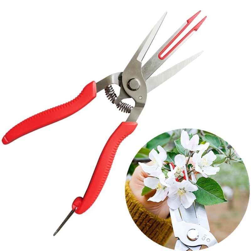 RQDouble-edged Apple Picking Scissors Kiwi Pear Thinning Scissors Double Mouth Design Thin Fruit ...