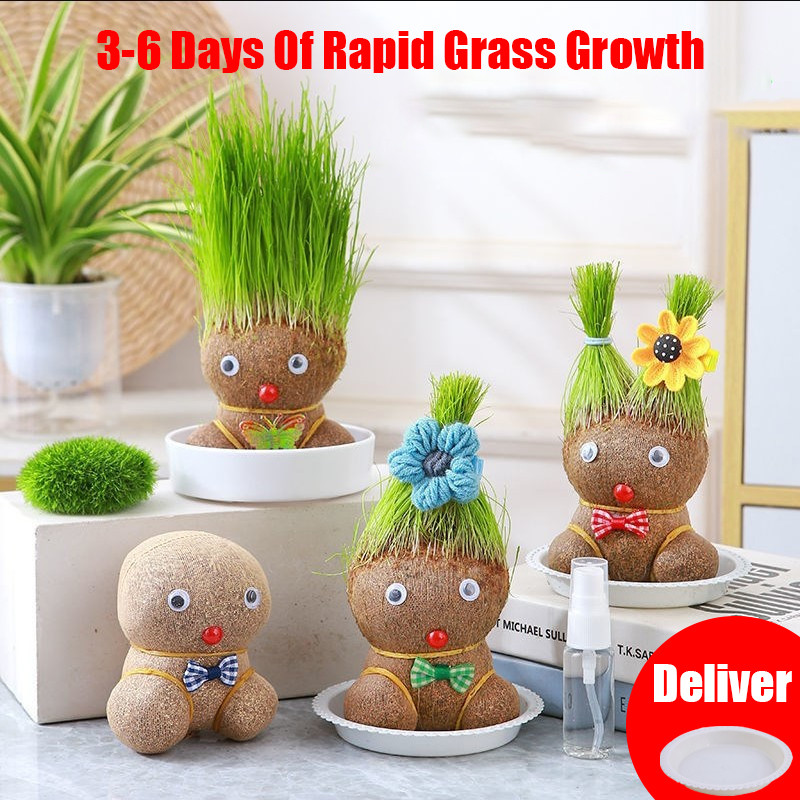 Children Growing Grass Doll Toys Grass Head Room Decor Indoor Office ...