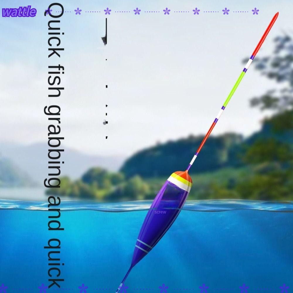 WATTLE Fishing Floats, Rock Fishing Sea Fishing Freshwater Floaters ...