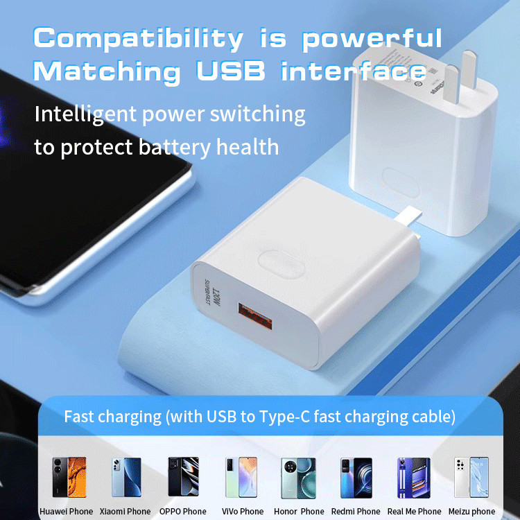 Adaptor Charger US PIug USB Type-C PD Power Adapter 240W Connector ...