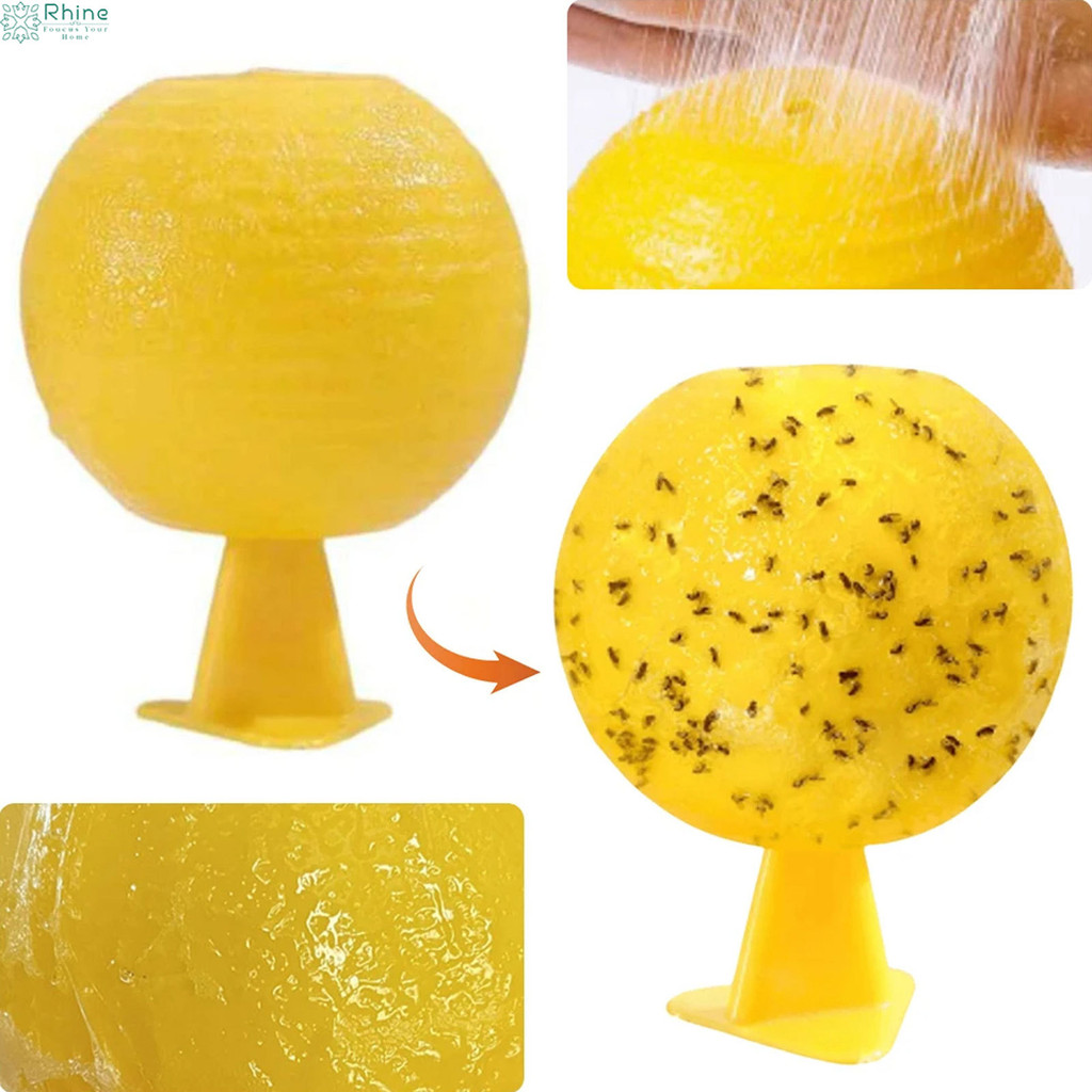 Rhine Non-Toxic Glue Stick Fruit Flavor Trap Fly Trap Indoor Kitchen ...