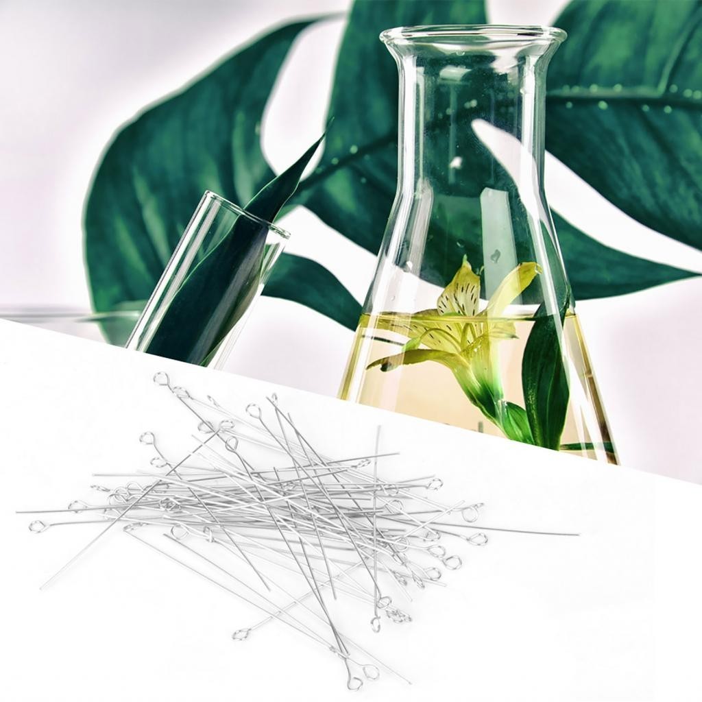 Buybybuy Bacterial Inoculating Loop 50PCS Useful Tools Size Optional ...