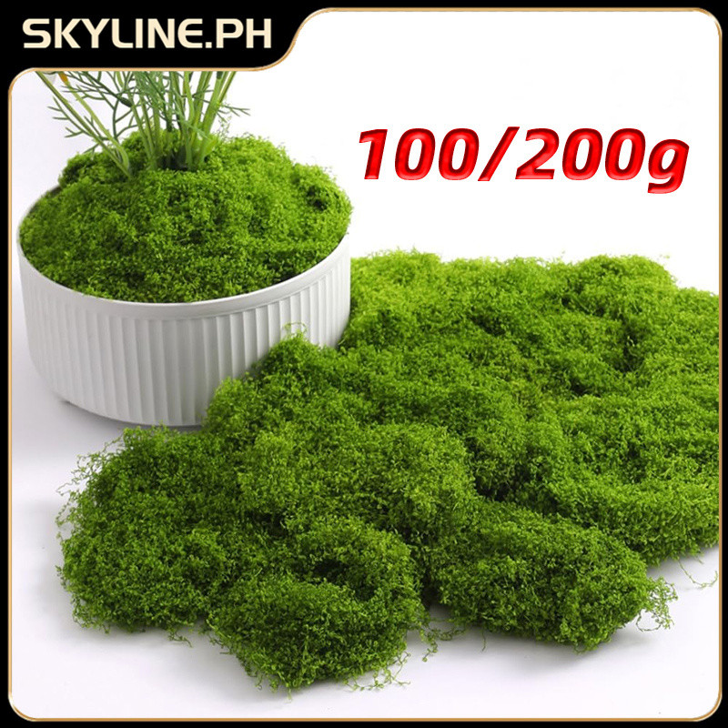 100g/200g Simulation Artificial Moss Eternal Life Green Fake Moss Mini ...