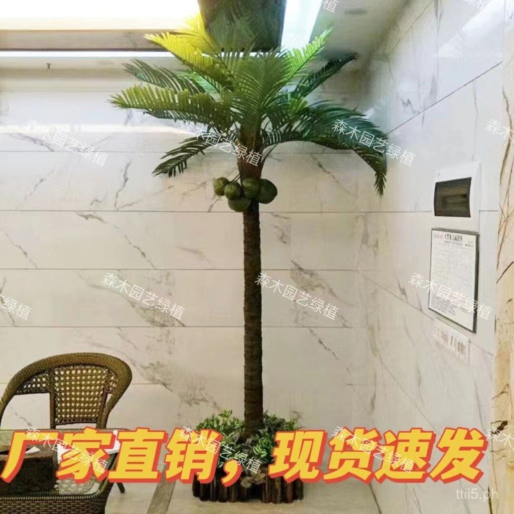 Factory Direct Sales Imitation Coconut Tree Palm Tree Living Room ...